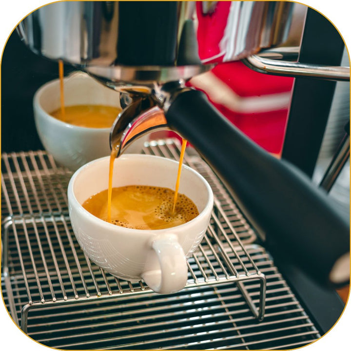 Comparing Different Types of Portafilters: Standard vs. Bottomless – Comiso Coffee